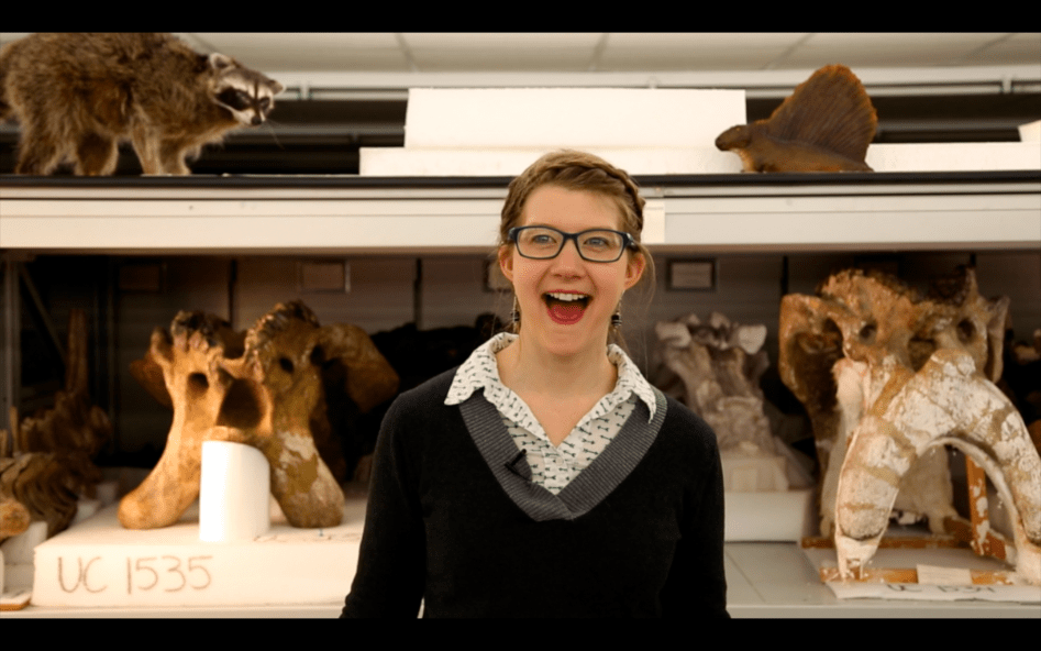 Endangered Living | Discover our wild world in a whole new way.